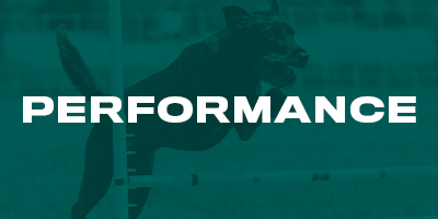 Register My Dog | United Kennel Club (UKC)