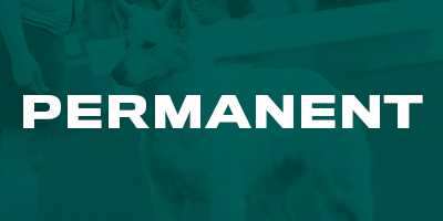 Register My Dog | United Kennel Club (UKC)